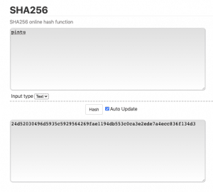 Apa itu Hashing dan Bagaimana Cara Kerjanya? - Pintu Academy