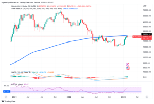 Understanding the Bitcoin Bull Run Cycle - Pintu Academy
