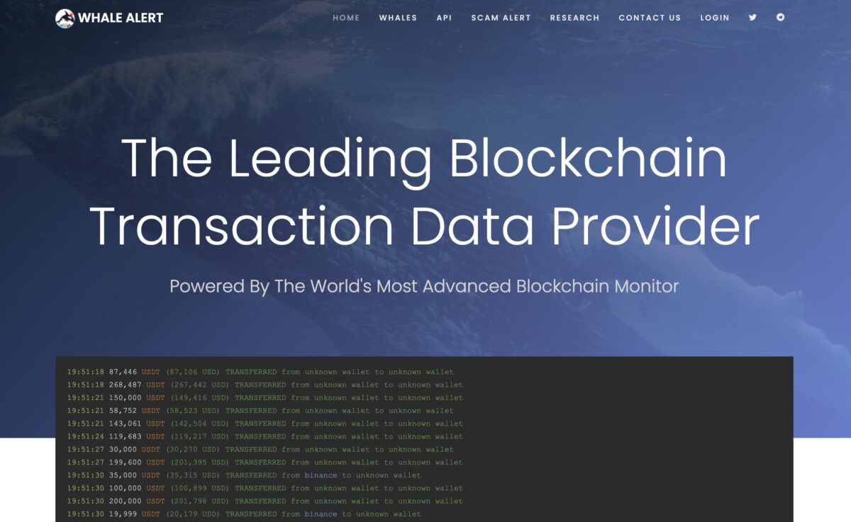 5 Crypto Whale Tracker untuk Mengamati Pergerakan Pasar - Pintu Academy