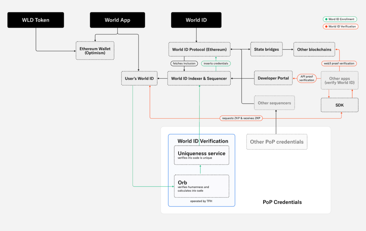 Apa itu Worldcoin (WLD)? Proyek Ambisius Sam Altman - Pintu Academy